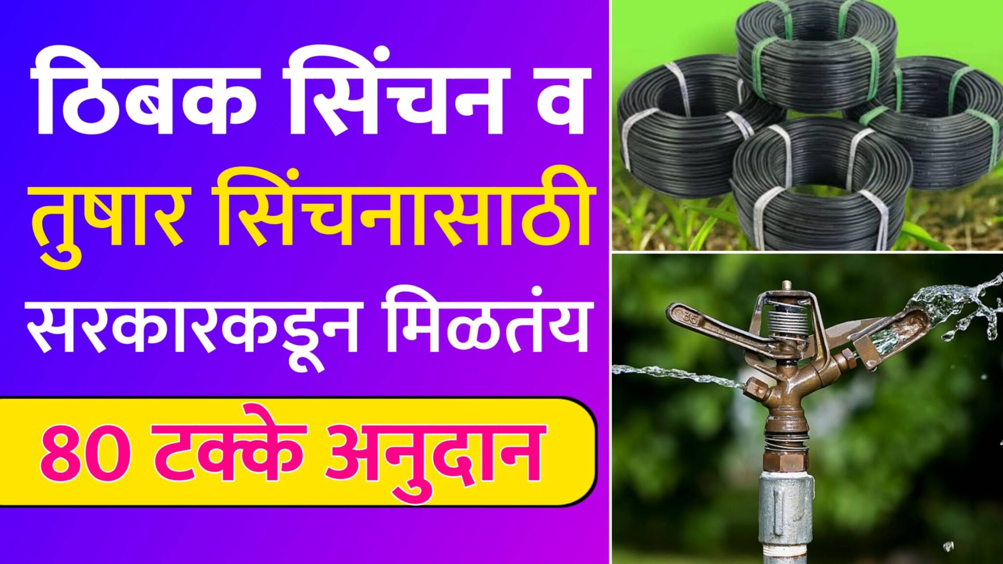 Thibak Tushar Sinchan Yojana | शेतकऱ्यांना ठिबक व तुषार सिंचनासाठी ...